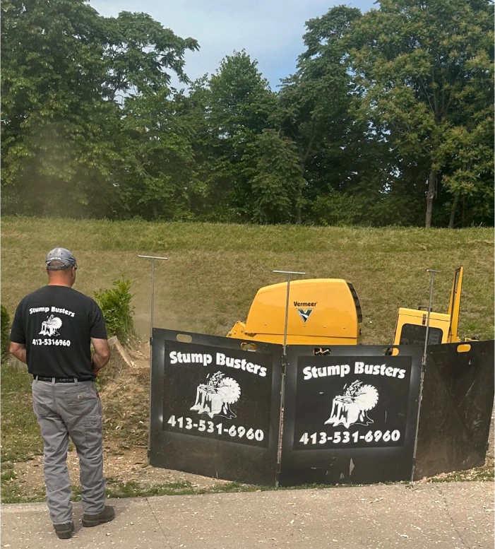 Stump Grinding Service Hampden County, MA | Beat Any Competitor By 10%